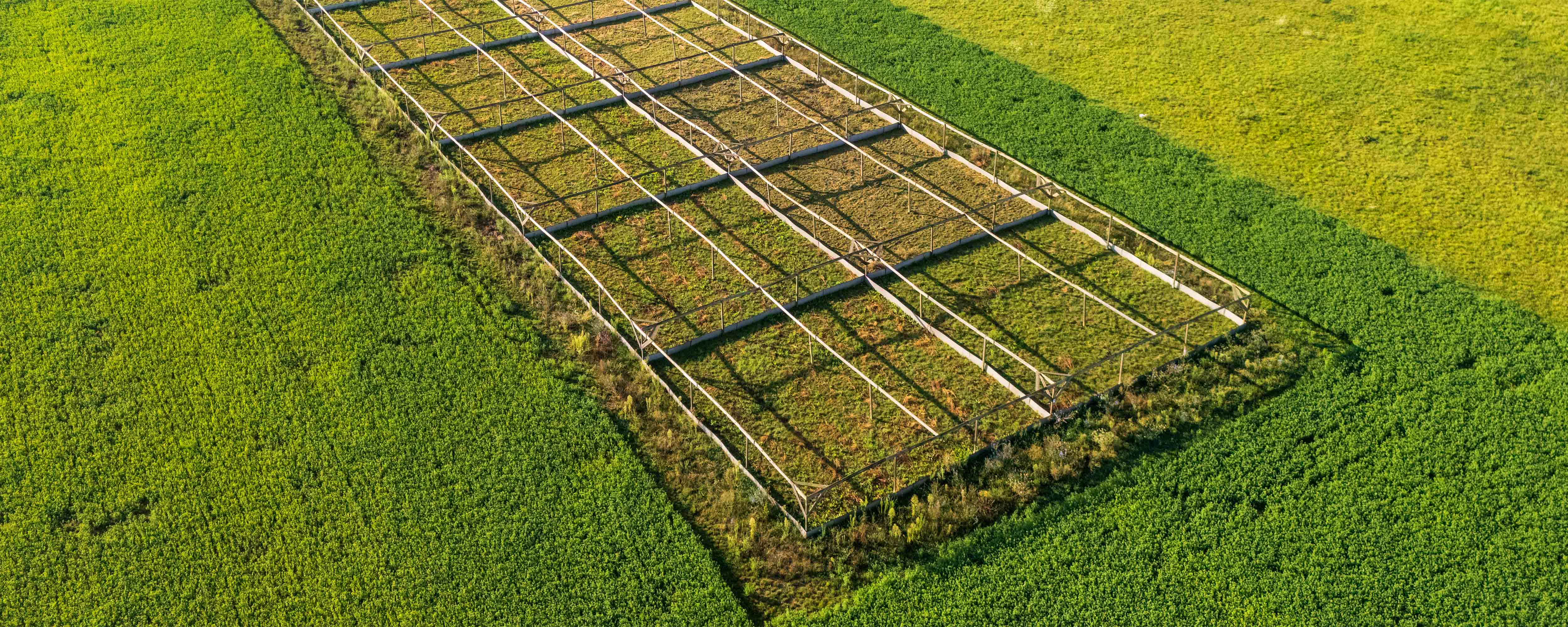 Enclosure studies on small mammals – RIFCON GmbH